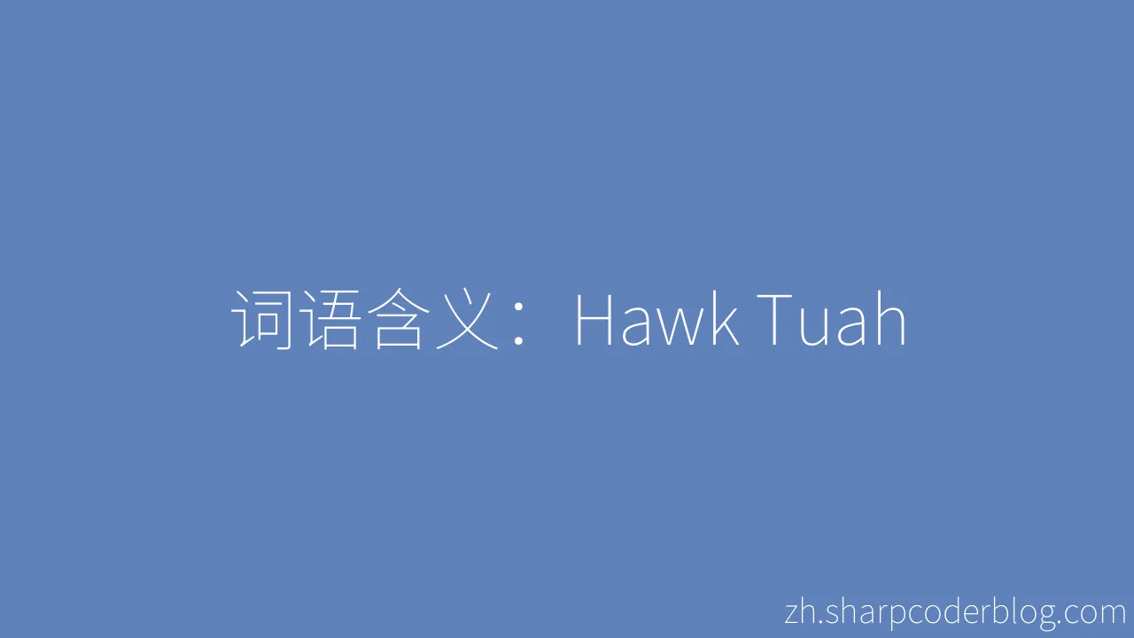 词语含义：Hawk Tuah | Sharp Coder Blog